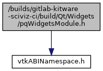 ParaView: /builds/gitlab-kitware-sciviz-ci/build/Qt/Widgets/pqWidgetsModule.h File Reference